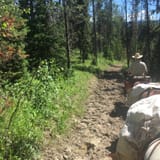 Two Ocean Pass Loop, Wyoming - 12 Reviews, Map | AllTrails