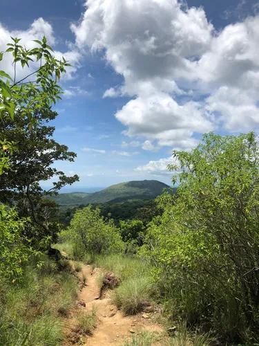 10 Best Trails and Hikes in Costa Rica | AllTrails