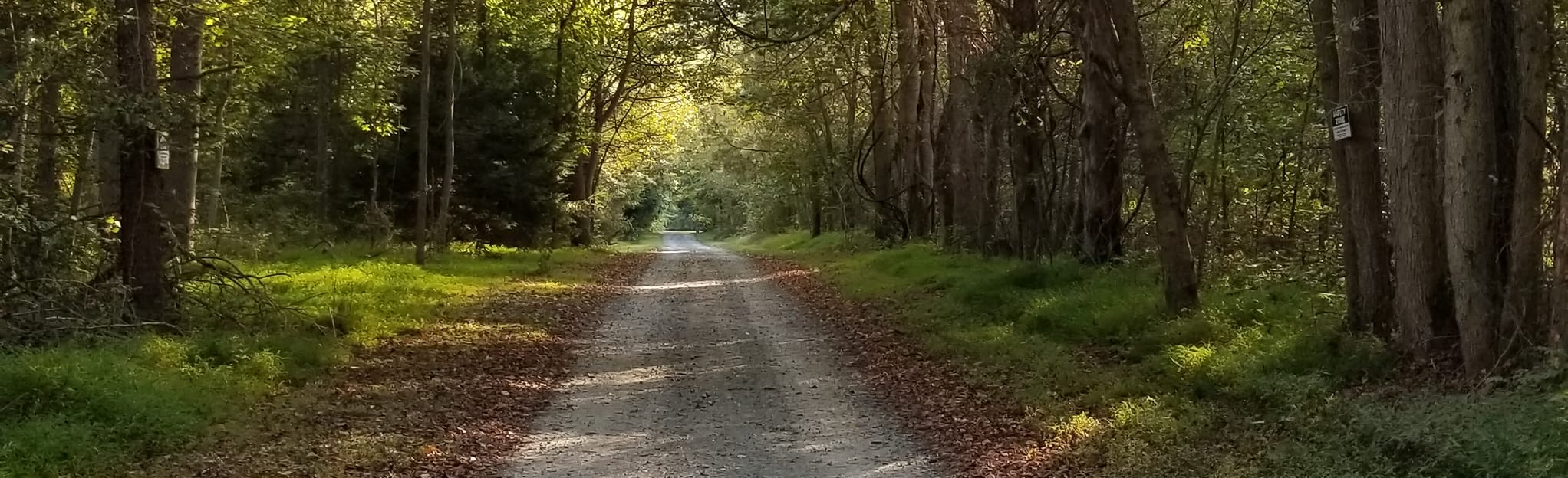 Tybout Tract Trail: 273 Reviews, Map - Delaware | AllTrails