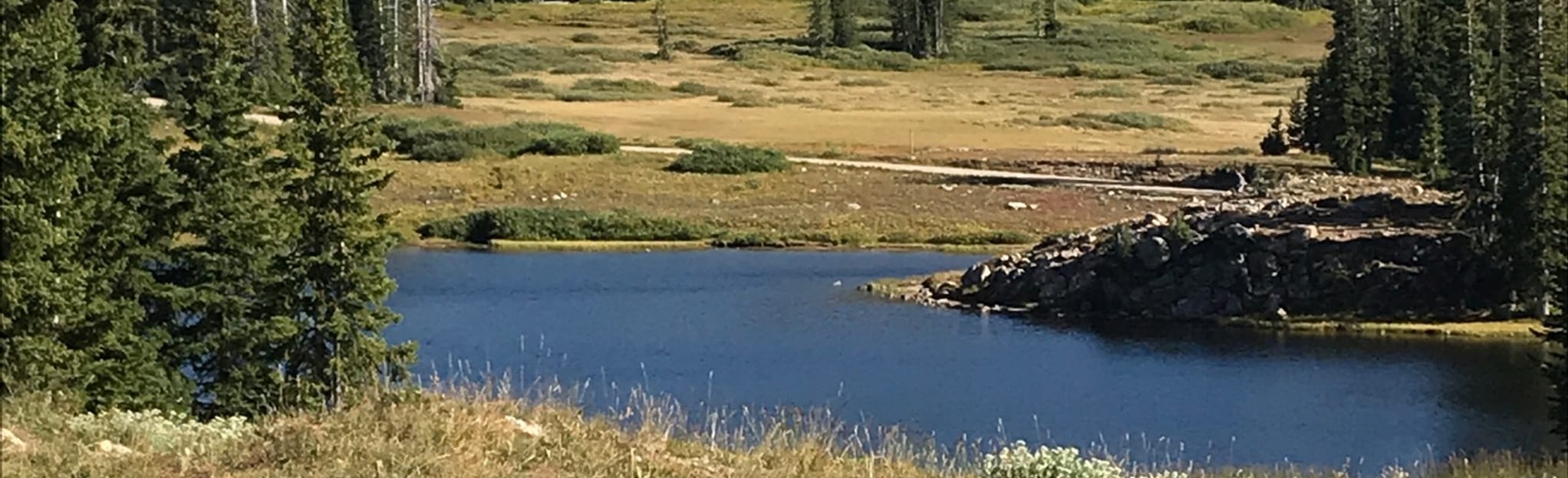 Buffalo Pass, Summit & Jonah Lakes: 26 Reviews, Map - Colorado | AllTrails