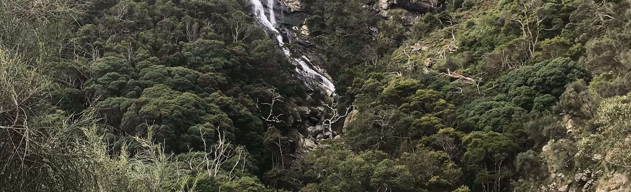 Carisbrook Falls Lookout Trail: 19 Reviews, Map - Victoria, Australia ...