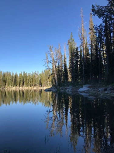 2023 Best 10 Backpacking Trails in Boise National Forest | AllTrails