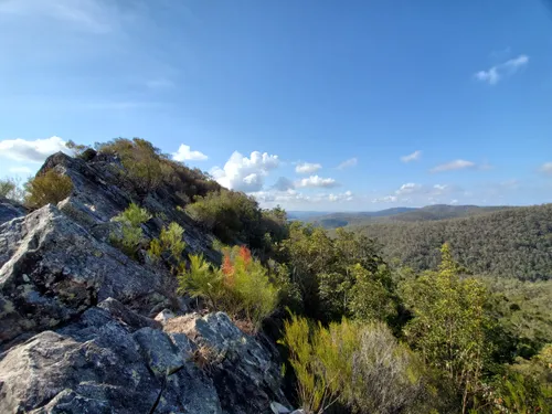 2023 Best Views Trails in Numinbah Valley | AllTrails