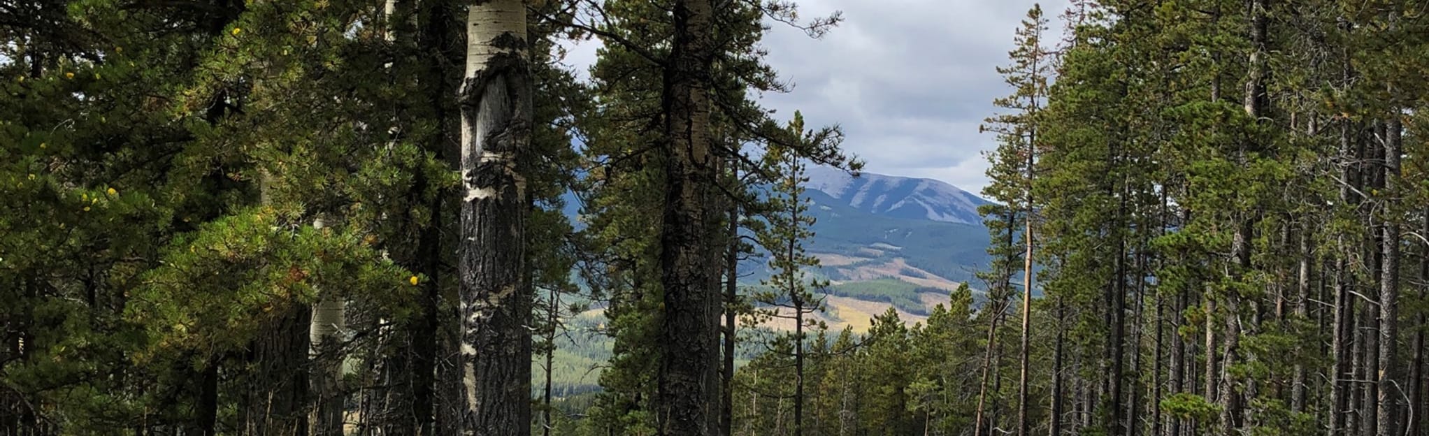Telephone Loop, Intermediate Ridge, Demi-Tel and Long Distance, Alberta ...