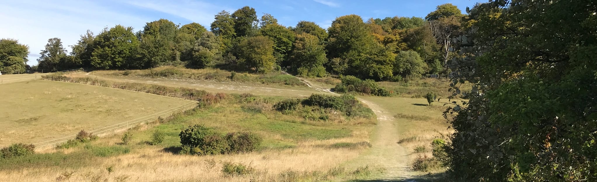Coombe Hill and Brush Hill Circular, Buckinghamshire, England - 173 ...