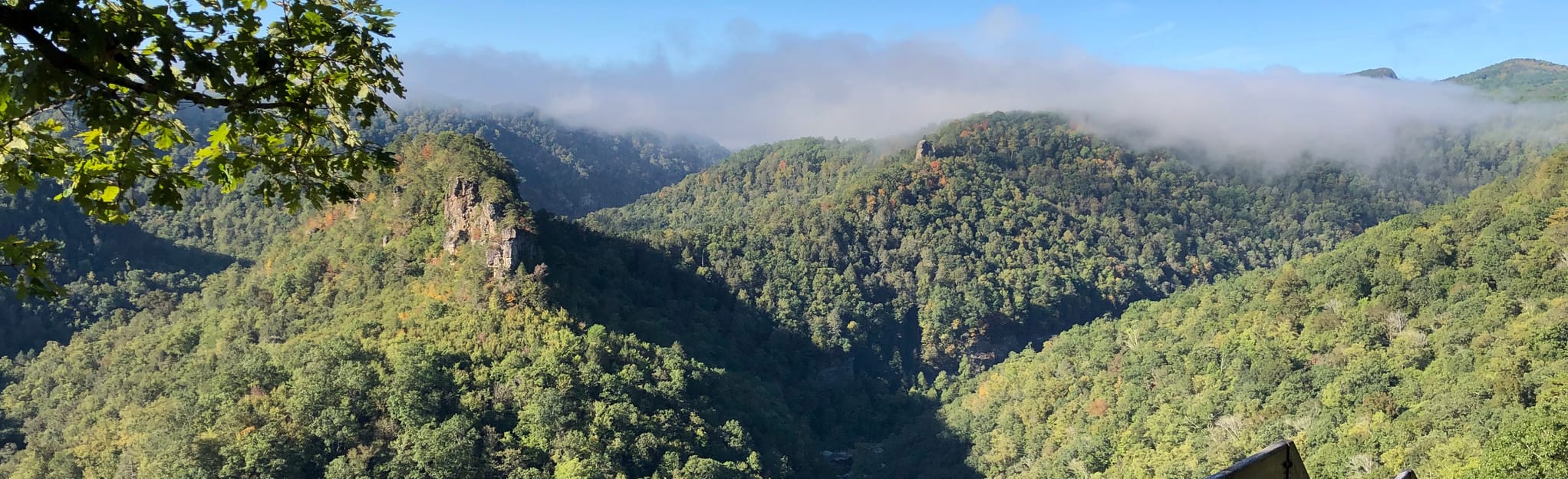 AllTrails | Towers Overlook Trail: 51 Reviews, Map - Virginia