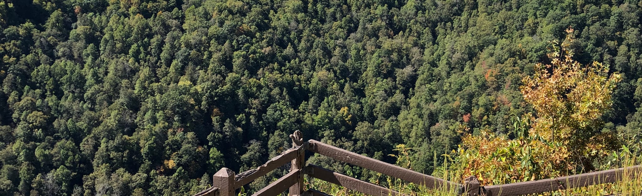 Prospector Trail: 41 Reviews, Map - Virginia | AllTrails