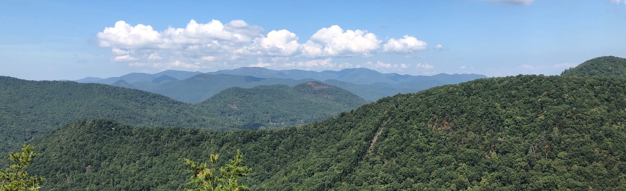 Courthouse Gap to Pinnacle Knob, Georgia - 282 Reviews, Map | AllTrails