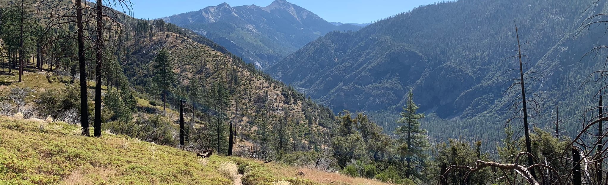 Deer Cove To Cedar Grove: 4 Reviews, Map - California | AllTrails