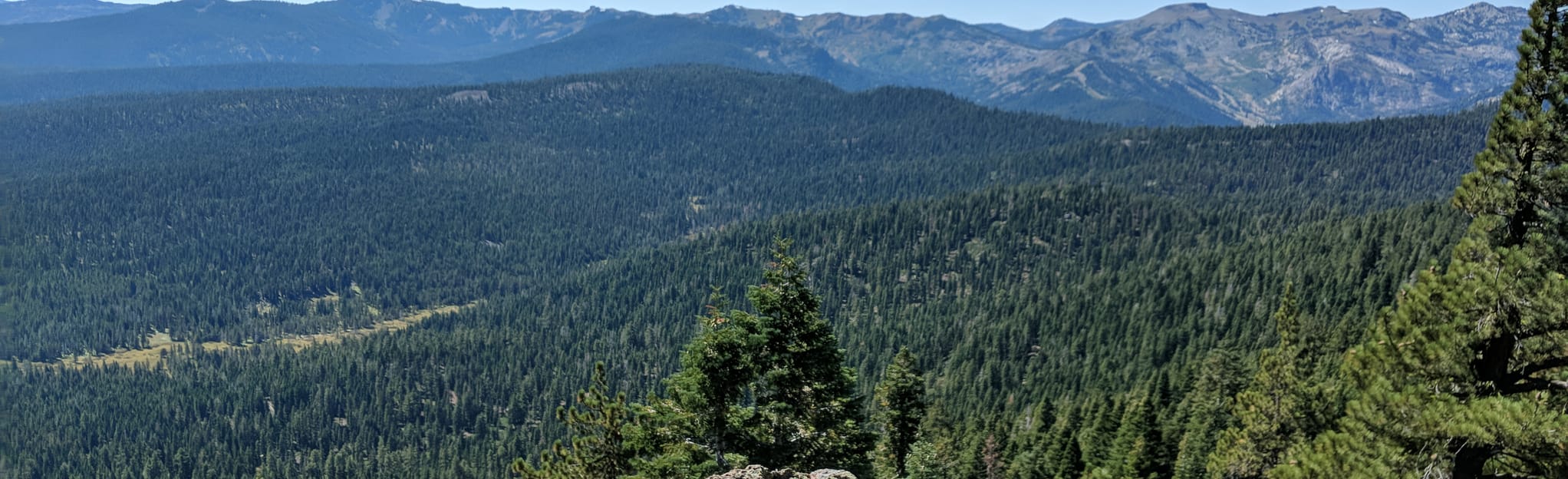 Mount Watson Peak Road, California - 108 Reviews, Map | AllTrails