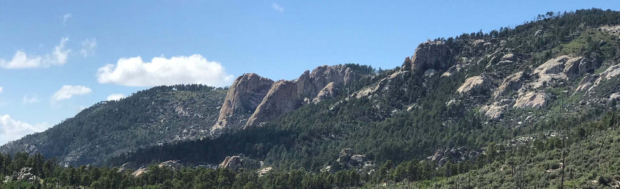 Mint Spring, Marshall Gulch, Sabino Canyon Loop: 201 Reviews, Map ...