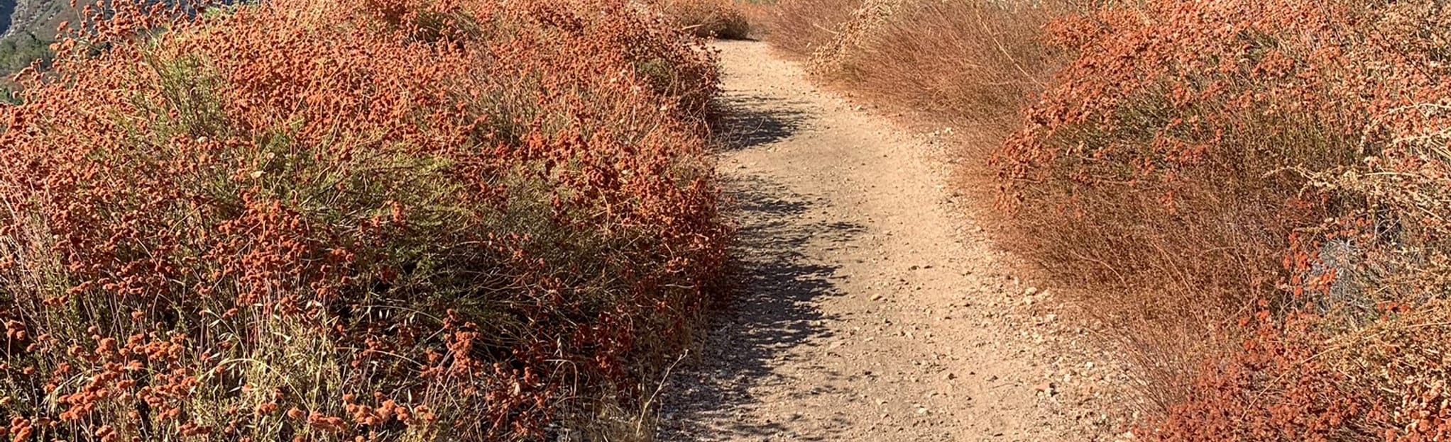 Stoddard and Frankish Peak via Barrett Stoddard Truck Trail: 72 Reviews ...