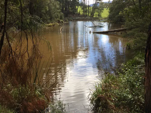 Best Hikes and Trails in Erica | AllTrails