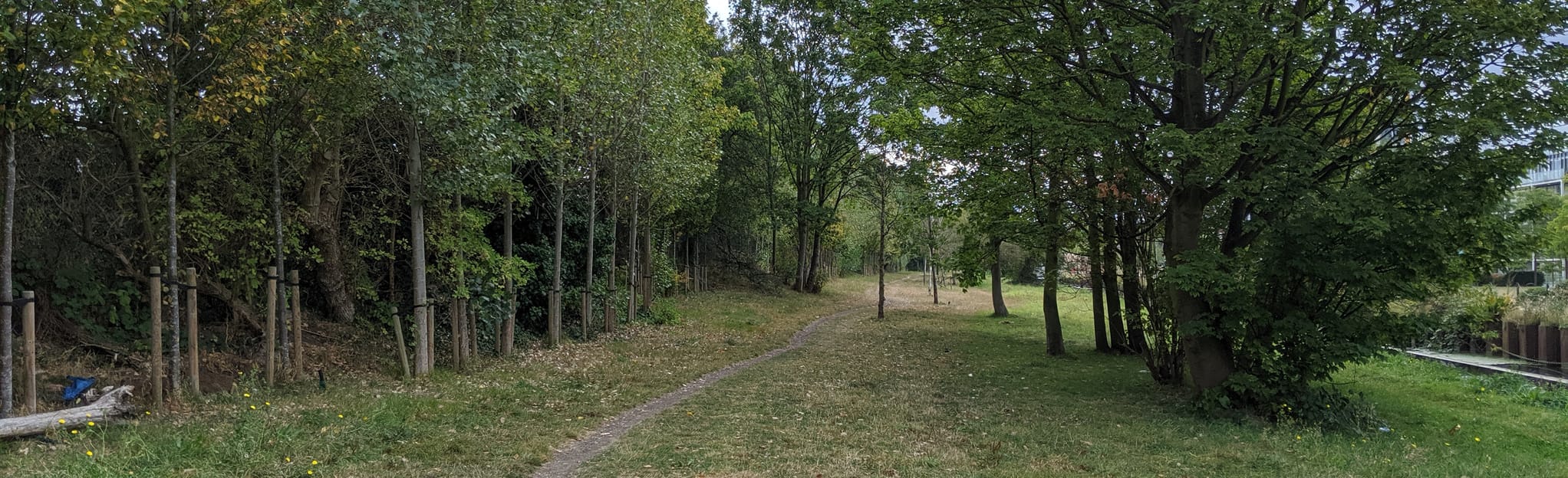 New River Path Part Five: Alexandra Palace to Stoke Newington - London ...
