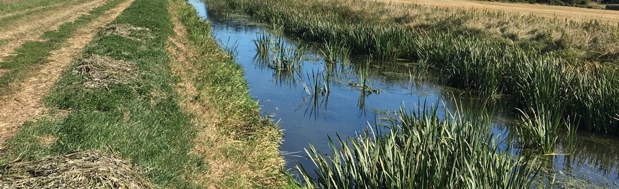 Grove Ferry Circular Walk: 69 Fotos - Kent, Inglaterra | AllTrails