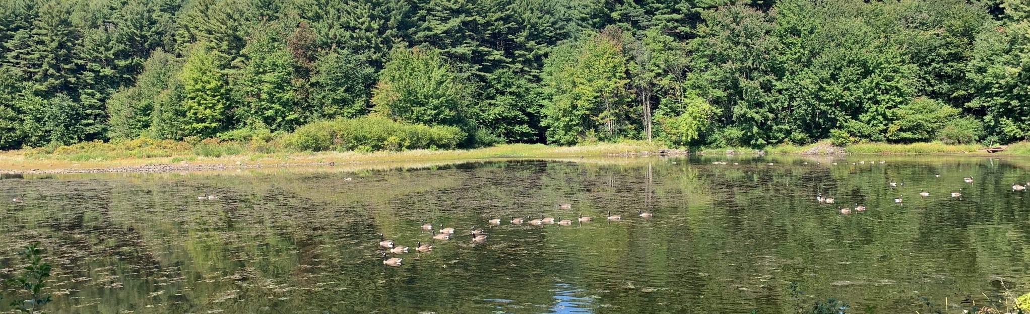 Metacomet-Monadnock Trail: Whitening Reservoir Road: 98 Reviews, Map ...