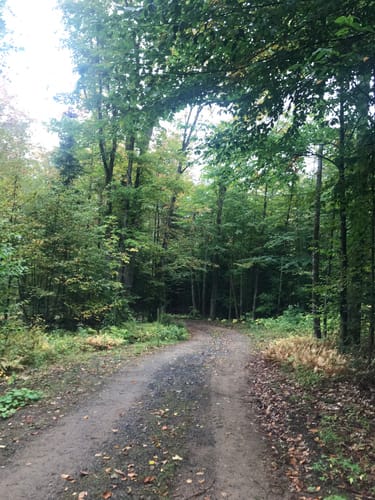 Best Hikes and Trails in Arrowhead Provincial Park | AllTrails