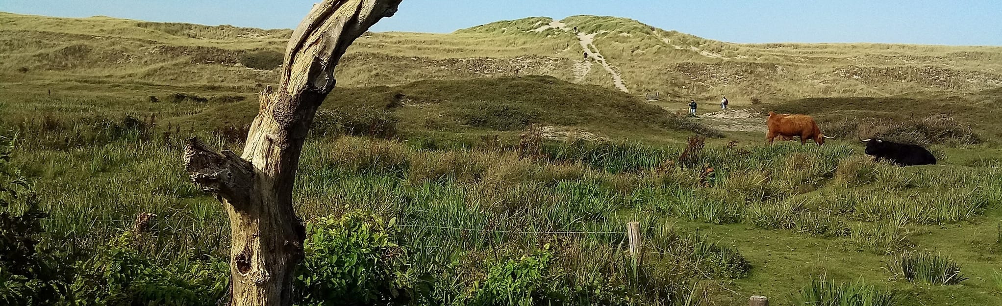 Texel - De Dennen - Duinen - Strand: 5 Reviews, Map - North Holland ...