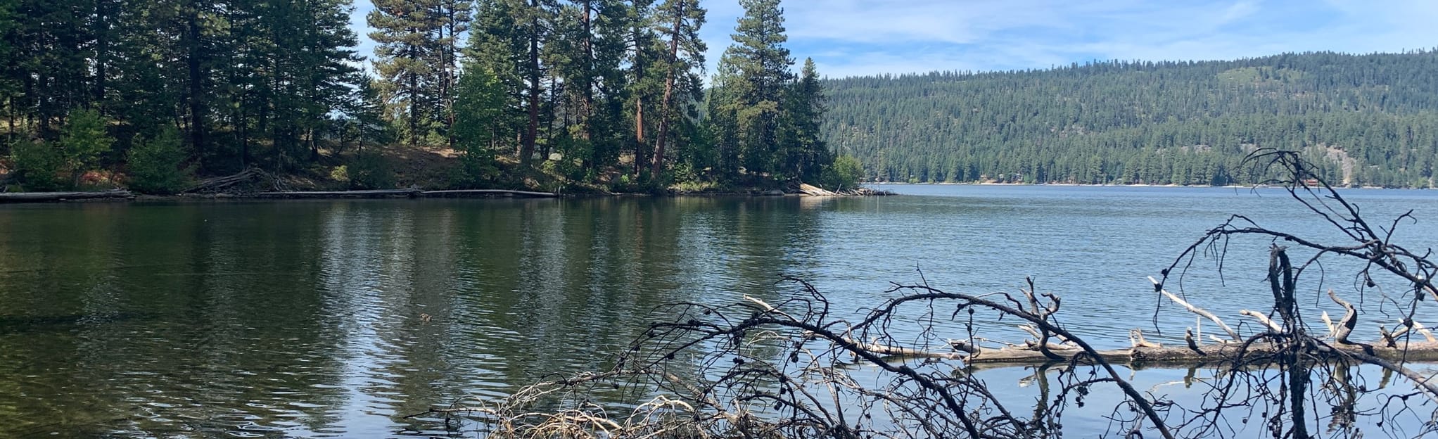 Peninsula, Fox Run, Huckleberry Loop, and Miles Standish Trails Loop ...