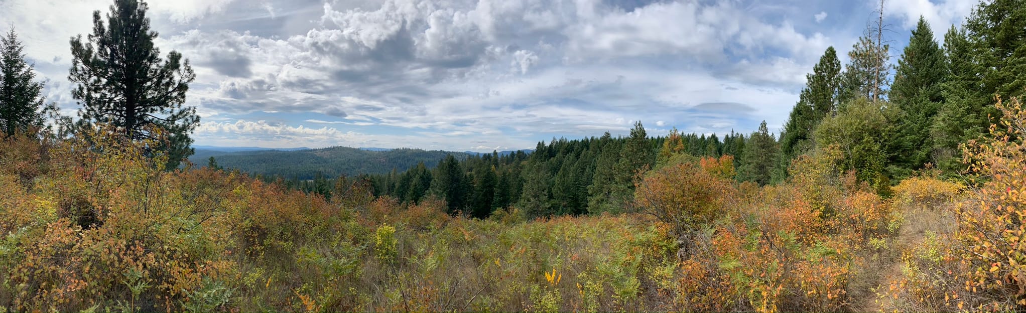 Big Sky Loop: 134 Reviews, Map - Washington | AllTrails