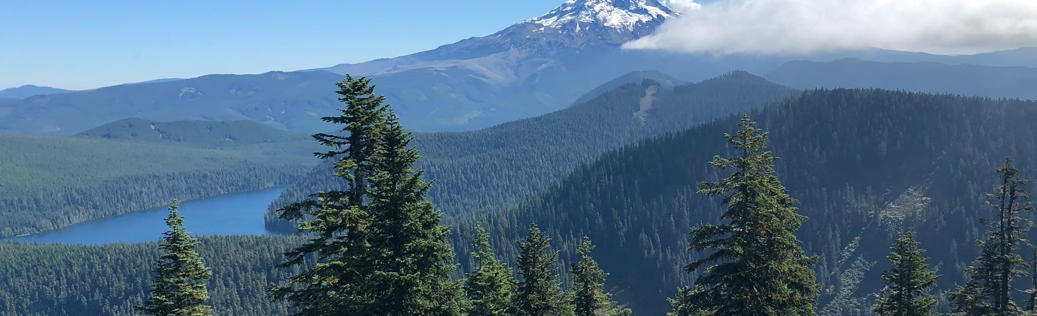 AllTrails | Buck Peak via Lakeshore and Huckleberry Mountain Trail: 40 ...