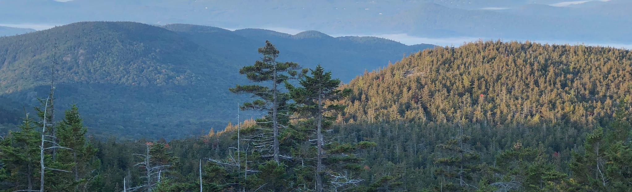 Fisher Mountain and Hogback Mountain: 21 Reviews, Map - New Hampshire ...
