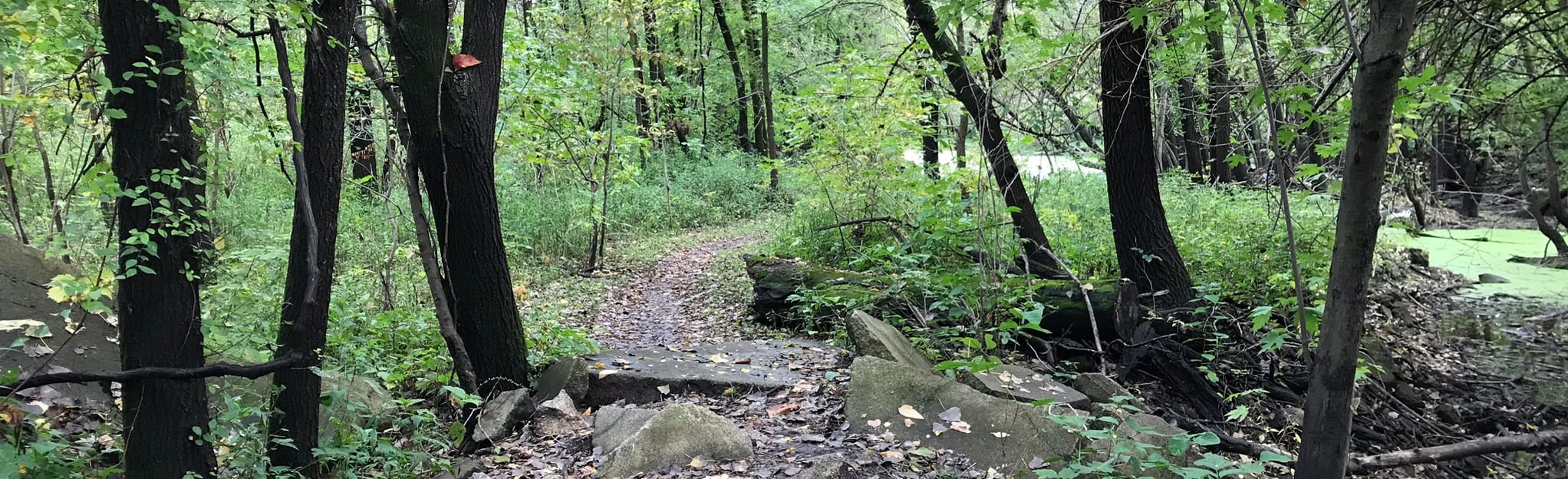 Bullfrog Bayou Trail - Iowa | AllTrails