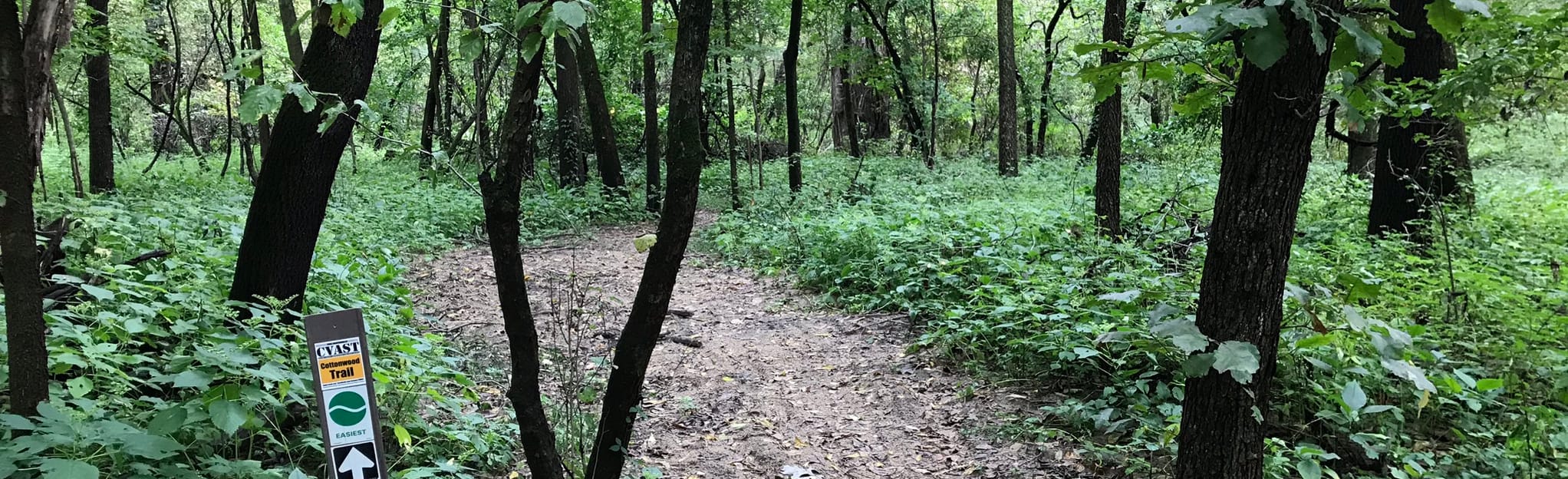 George Wyth Main and Campground Trail, Iowa - 42 Reviews, Map | AllTrails
