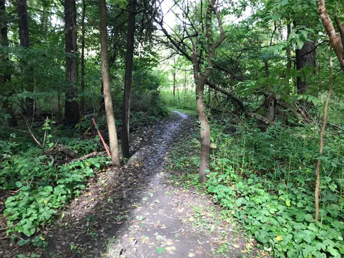 Best Hikes and Trails in George Wyth State Park | AllTrails