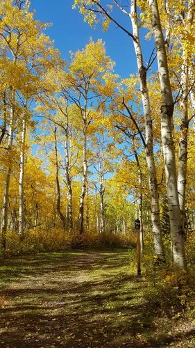 2023 Best 10 Trails, Walks, and Paths in Strathcona County | AllTrails