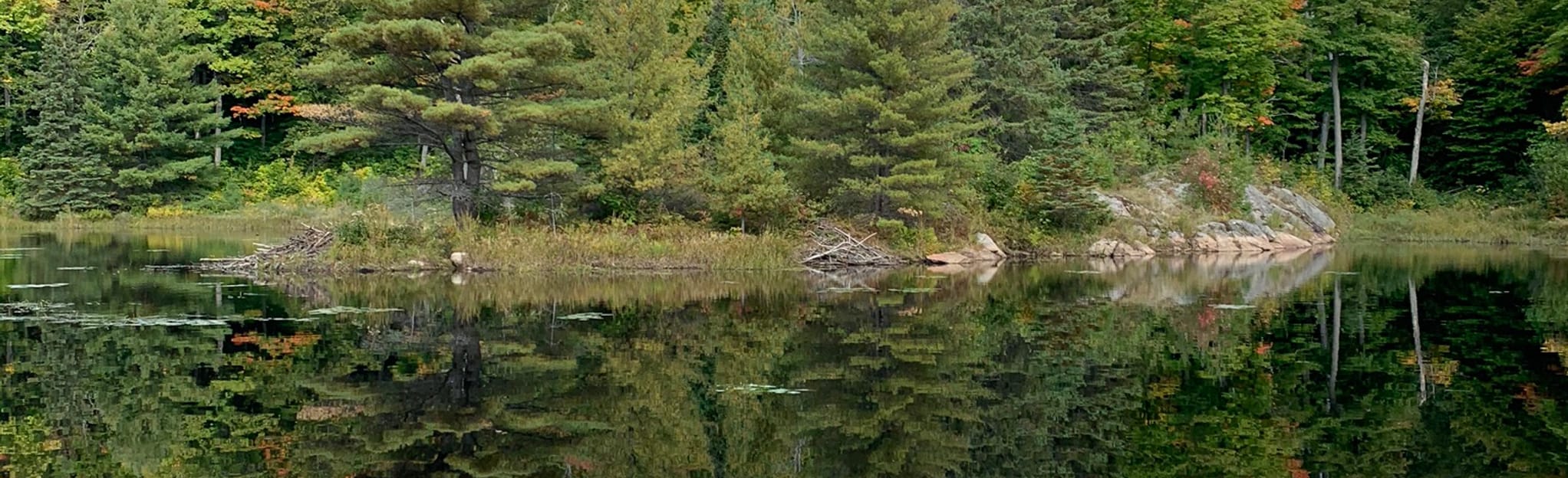 Sky Turtle Lake via Wolf Trail: 72 Reviews, Map - Quebec, Canada ...