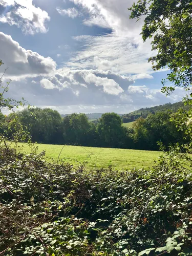 10 Best Trails and Hikes in Leatherhead | AllTrails