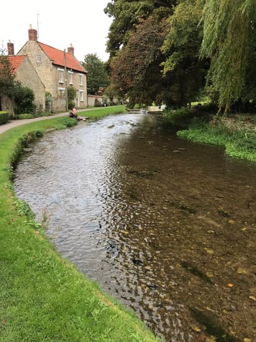 2023 Best 10 Walking Trails in Pickering | AllTrails