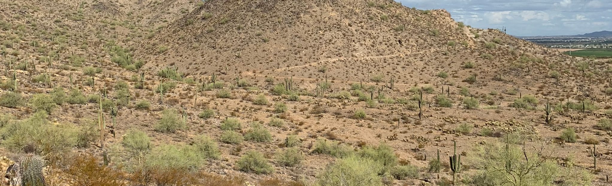 Spine Trail to Ridge Trail Loop, Arizona - 297 Reviews, Map | AllTrails