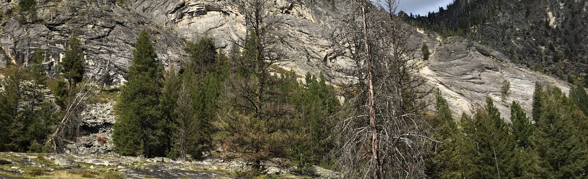 Boulder Falls Trail: 59 Reviews, Map - Montana | AllTrails