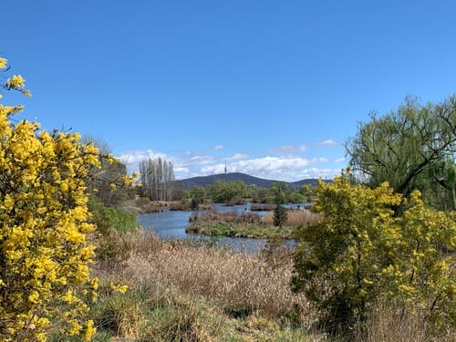 Best Hikes and Trails in Jerrabomberra Wetlands Nature Reserve | AllTrails