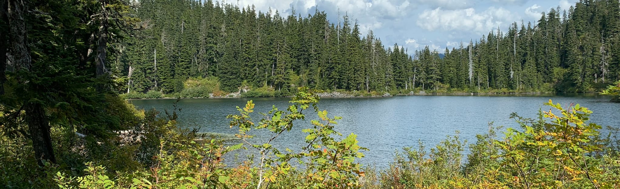 Upper Wildcat Lake Trail, Washington - 26 Reviews, Map | AllTrails