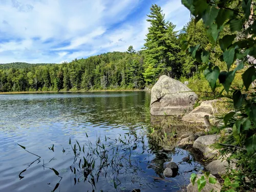 Los mejores senderos y rutas en Wellington State Park | AllTrails