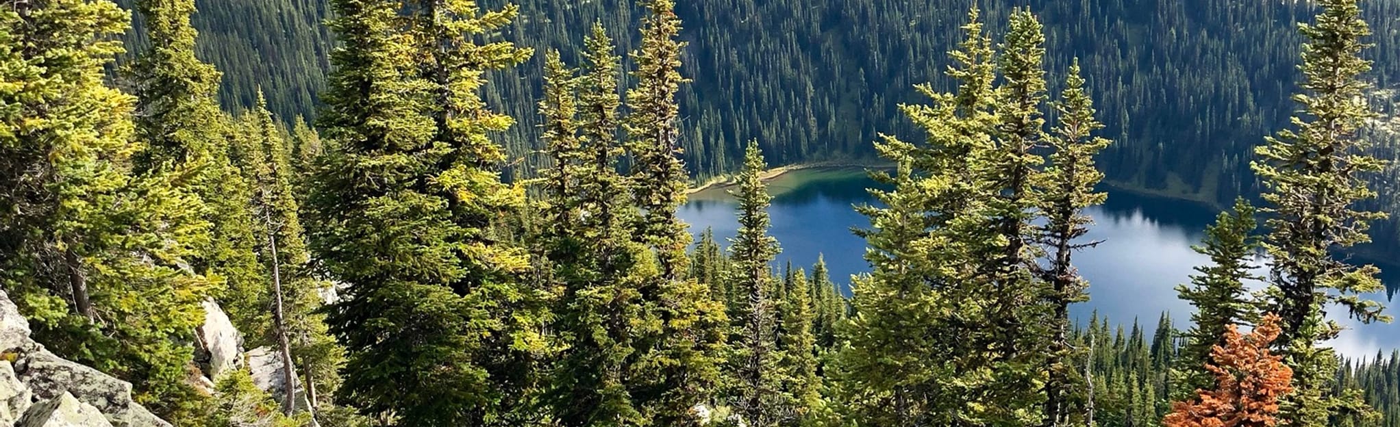 Mount Macpherson, British Columbia, Canada - 38 Reviews, Map | AllTrails