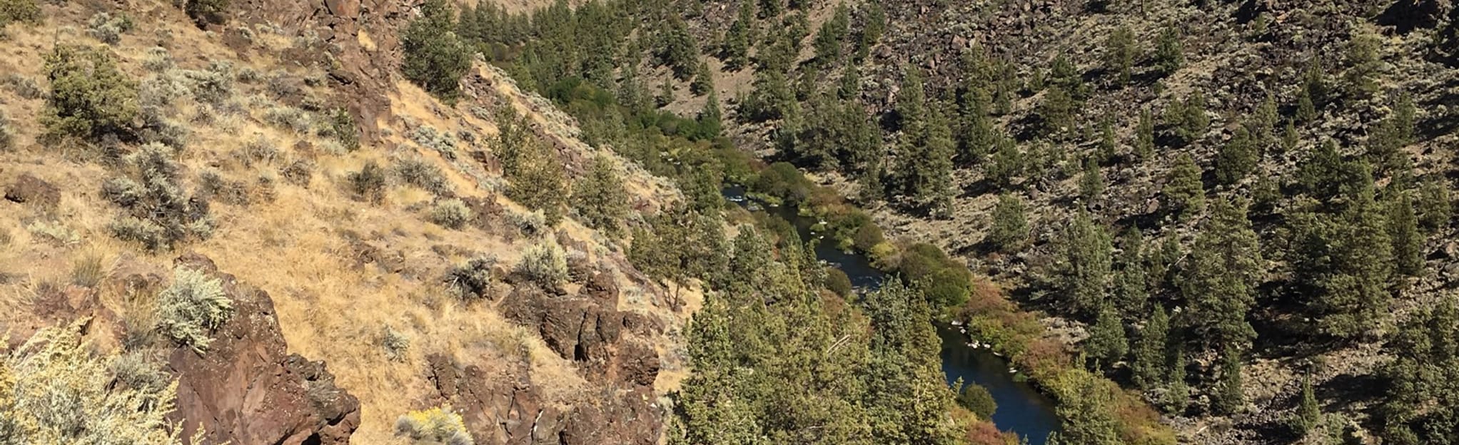 Headgate and Rockbar Loop, Oregon - 123 Reviews, Map | AllTrails