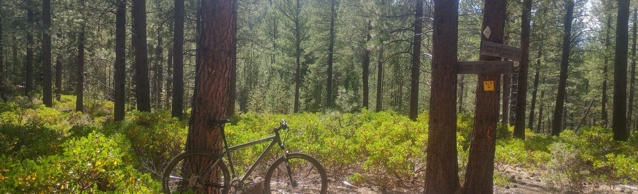 Swamp Wells Campground via Arnold Ice Cave Trail : 11 Photos - Oregon ...