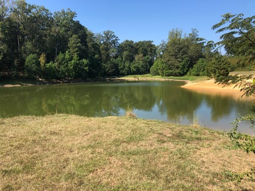 Best Hikes and Trails in Harry Pritchett Running Park | AllTrails