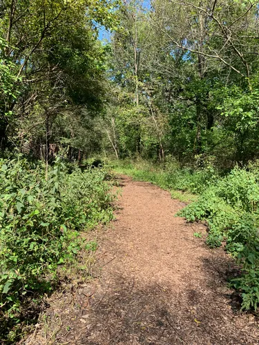 10 Best Trails and Hikes in Overland Park | AllTrails