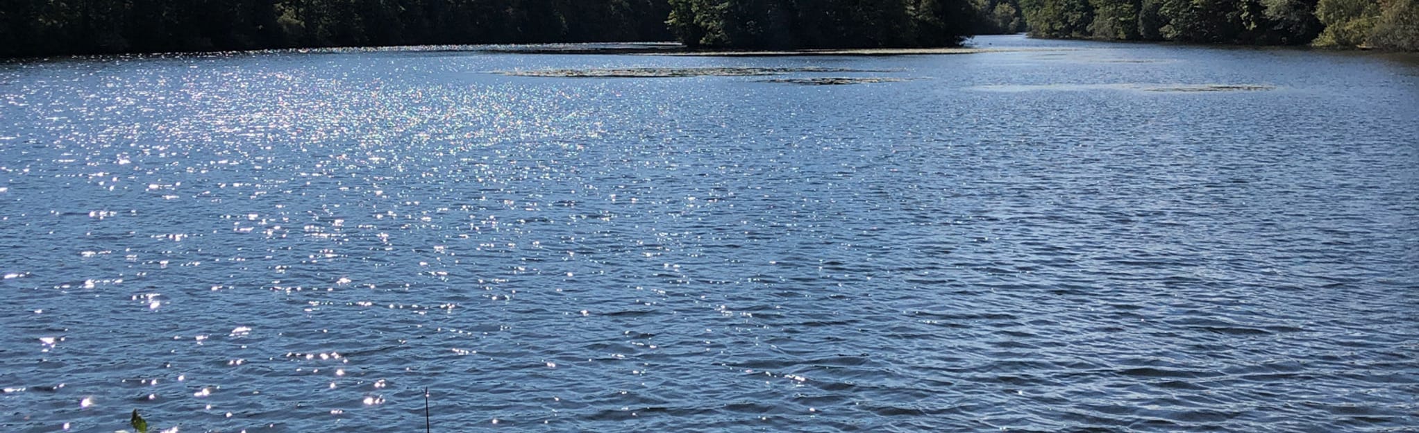 Lower Spring Pond, Massachusetts - 144 Reviews, Map | AllTrails