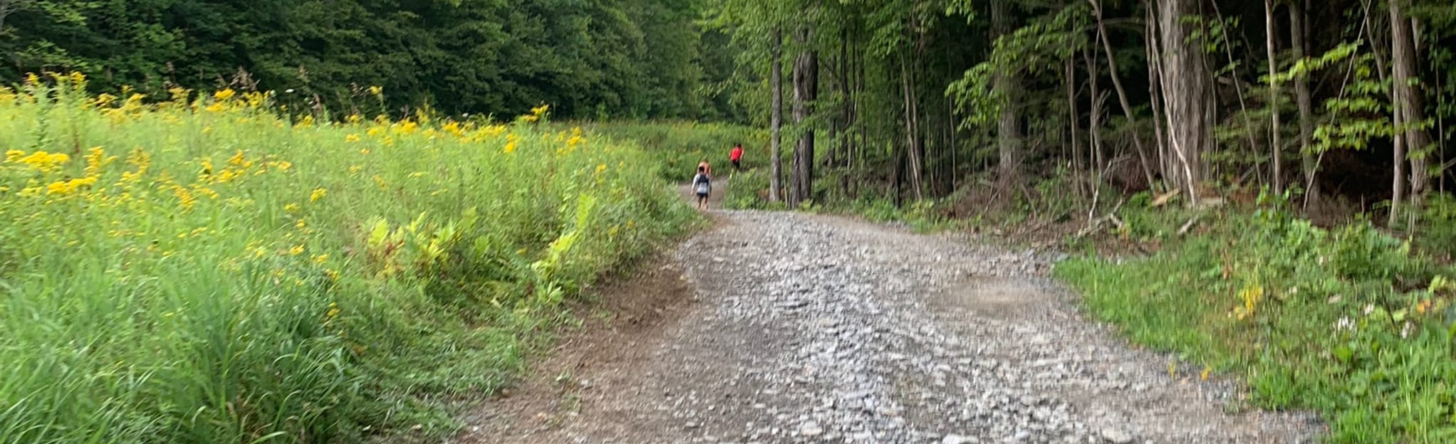 Ragnar Vermont Green Loop: 66 Reviews, Map - Vermont | AllTrails