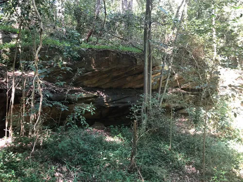 Best Hikes and Trails in Col Sutton Reserve | AllTrails