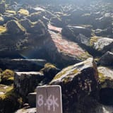 Xueshan Main Peak, Taichung City, Taiwan - 8 Reviews, Map | AllTrails