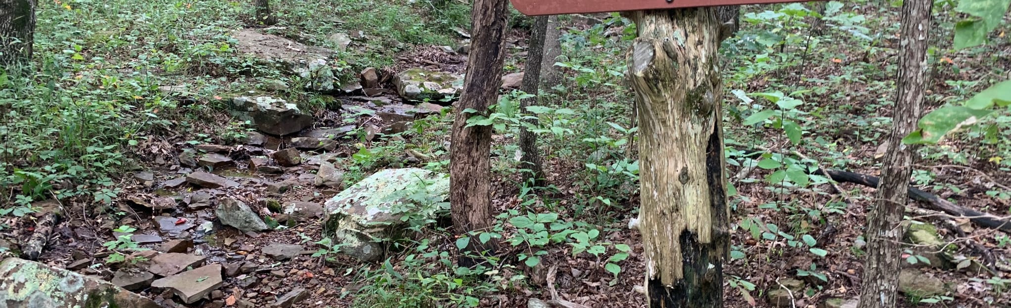 Greenfield Trail: 37 Reviews, Map - Arkansas | AllTrails