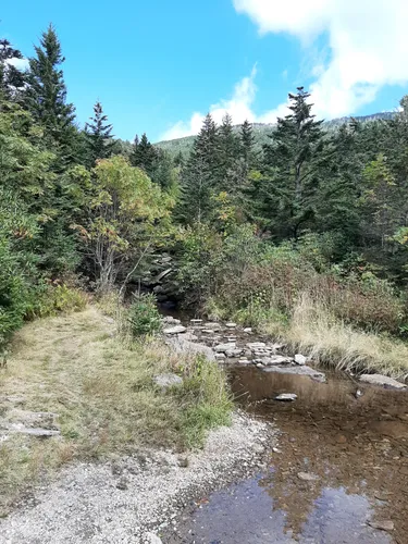 10 Best Hikes and Trails in Mount Mitchell State Park | AllTrails