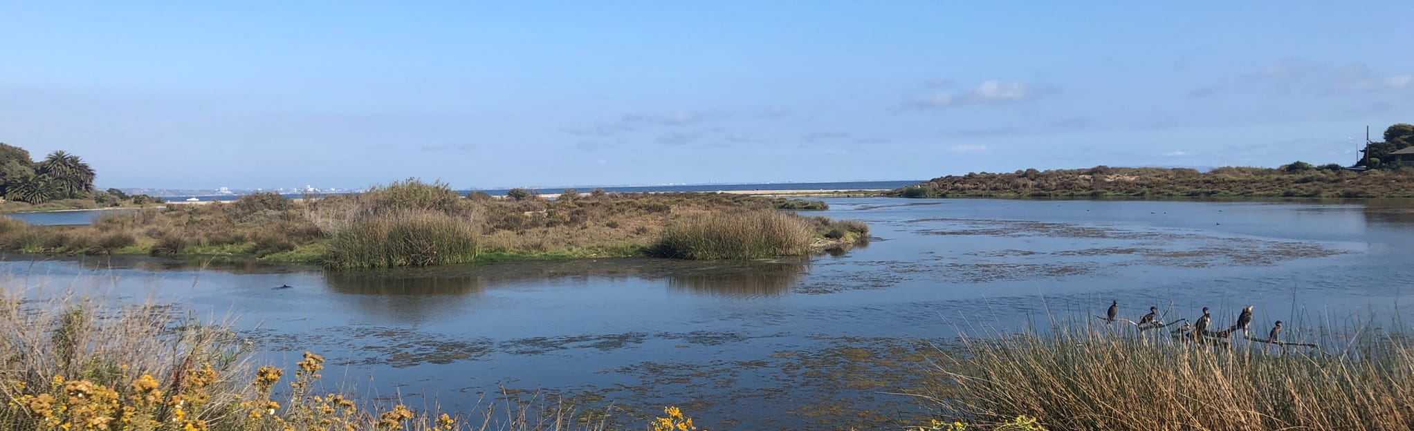 The Malibu Lagoon State Beach: 170 Reviews, Map - California | AllTrails